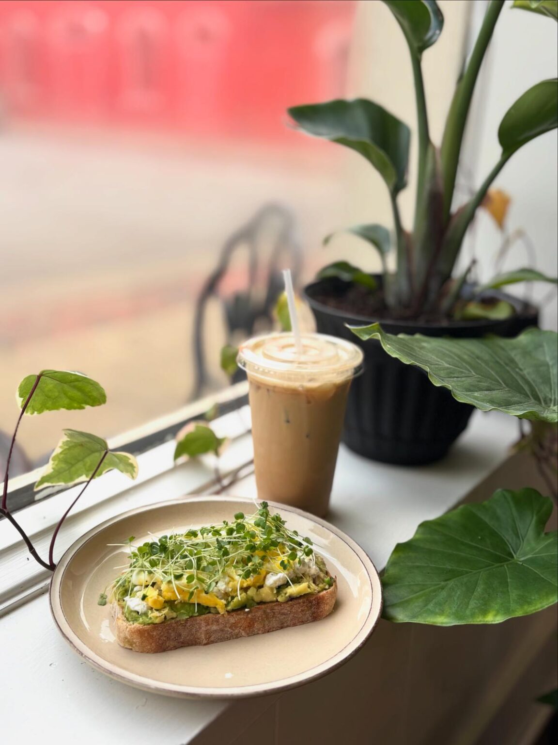 What are Microgreens? – Nourish Coffee + Kitchen